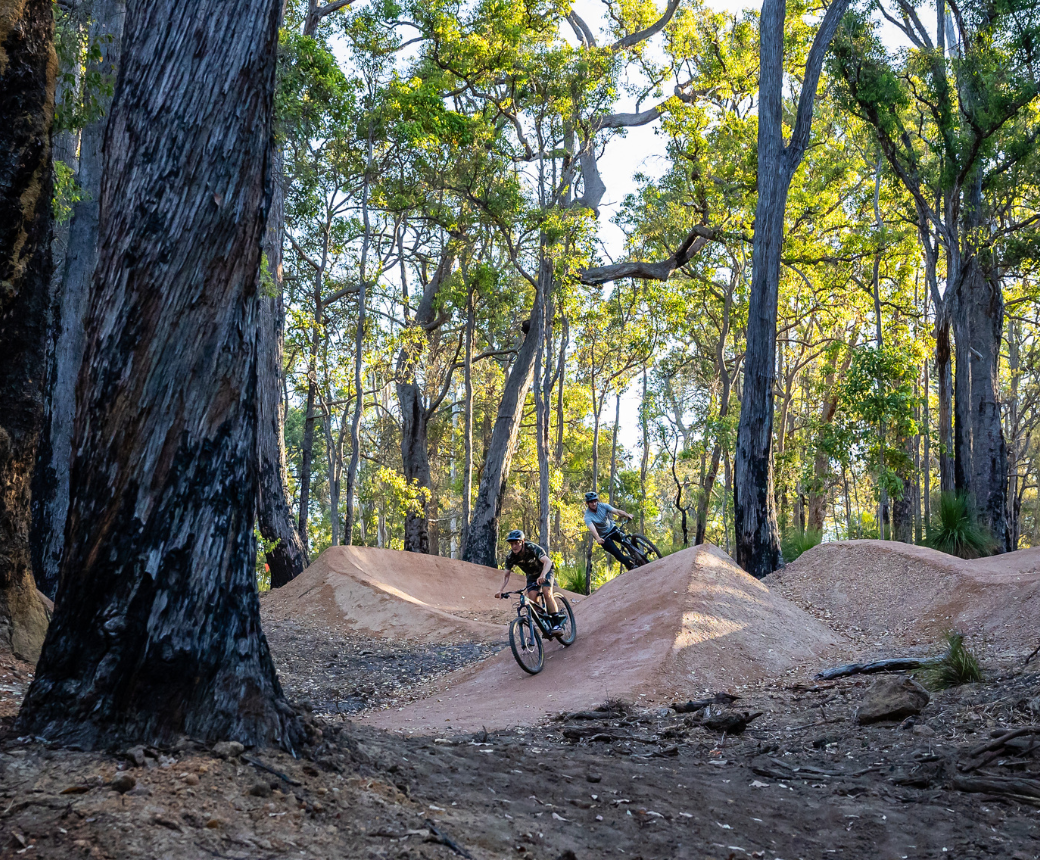 Nannup Ngoolark MTB Jump Park - Trails WA