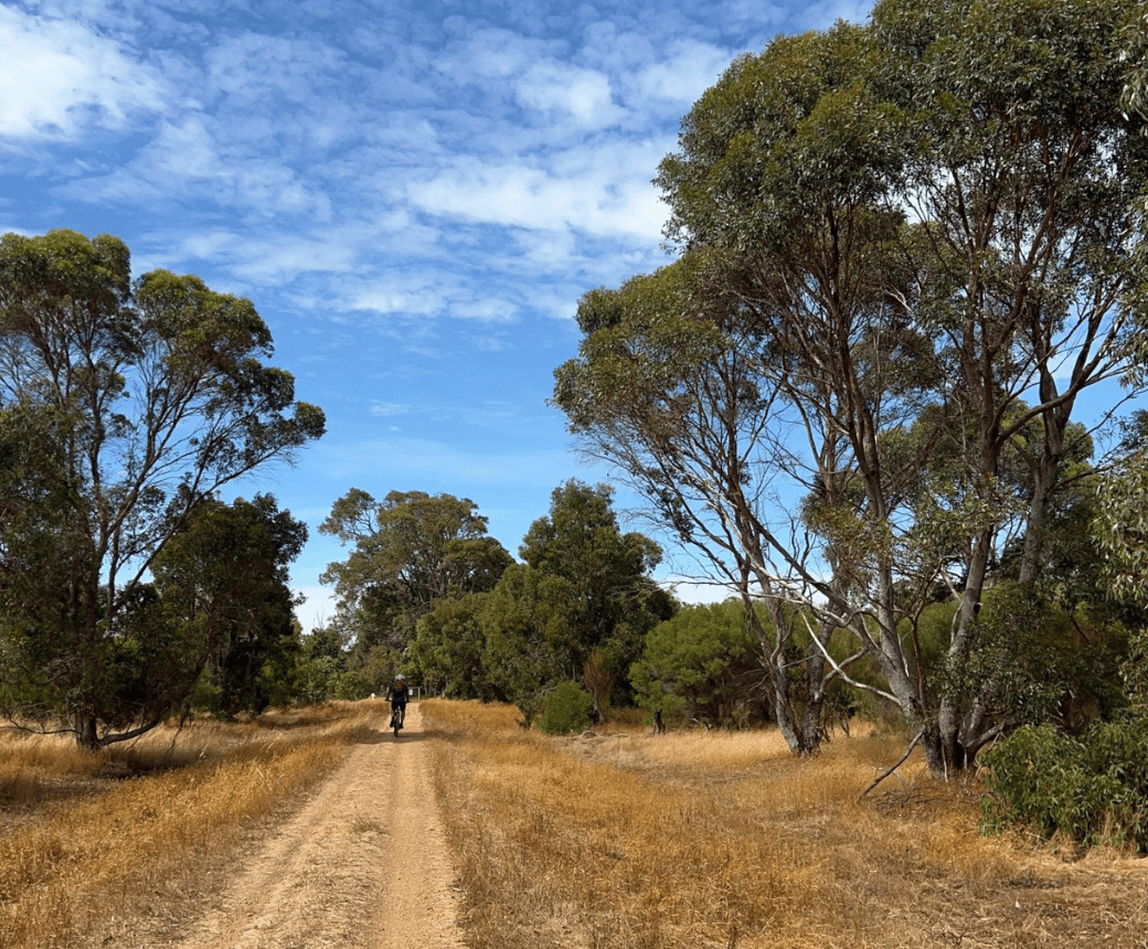Wadandi Track, Margaret River - Trails WA