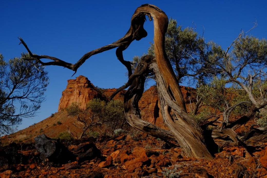 Escarpment Base Trail, Kennedy Range National Park - Trails WA