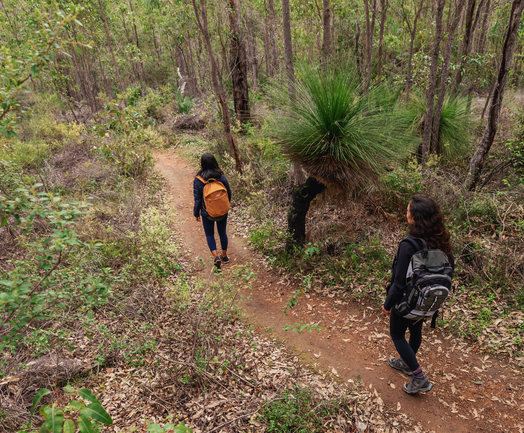 Chuditch Walk Trail - Trails WA