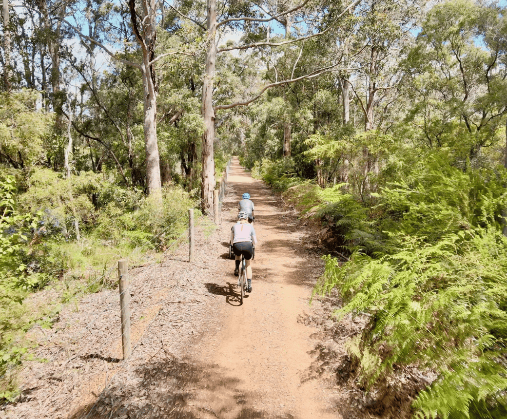 Wadandi Track, Margaret River - Trails WA