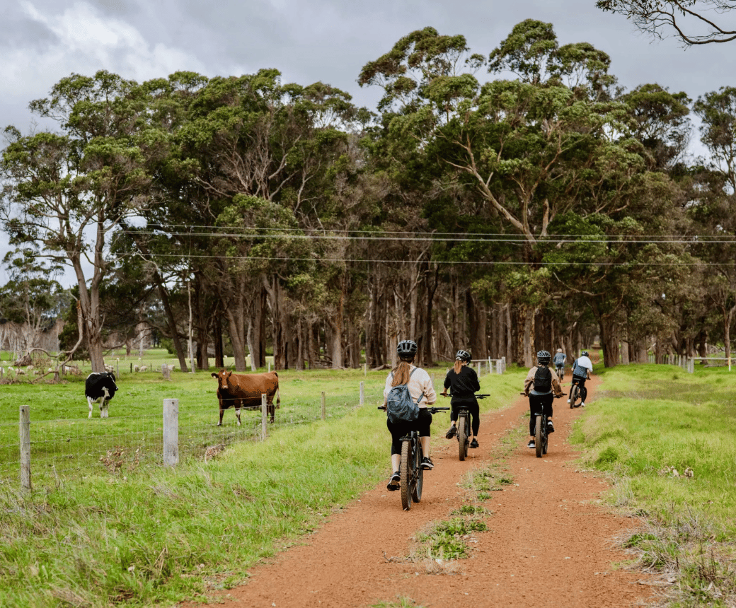 Wadandi Track, Margaret River - Trails WA