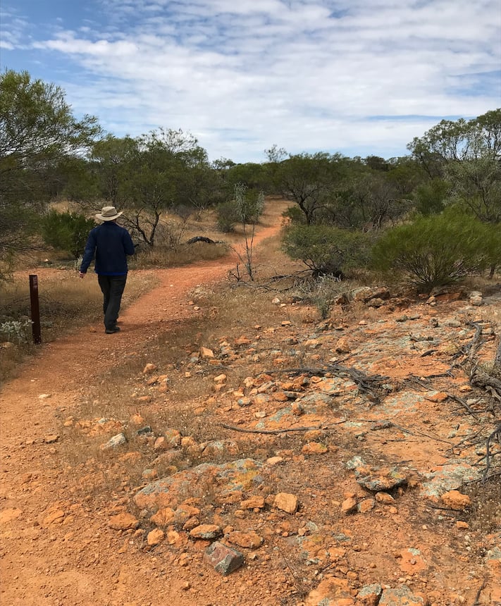 Mullewa Bushland Trail - Trails WA - Trails WA