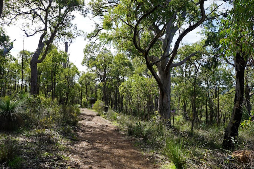 Kalamunda - Trails WA