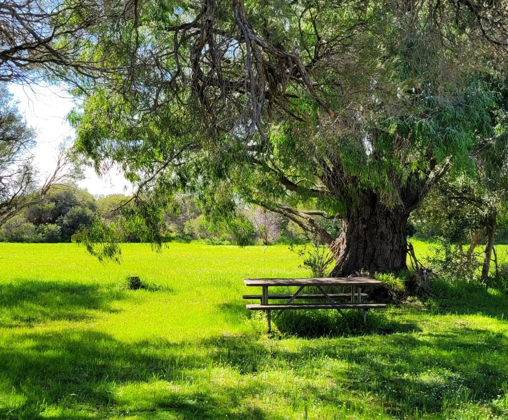John Boyle O'Reilly Memorial Trail, Leschenaultia Peninsula CP - Trails WA