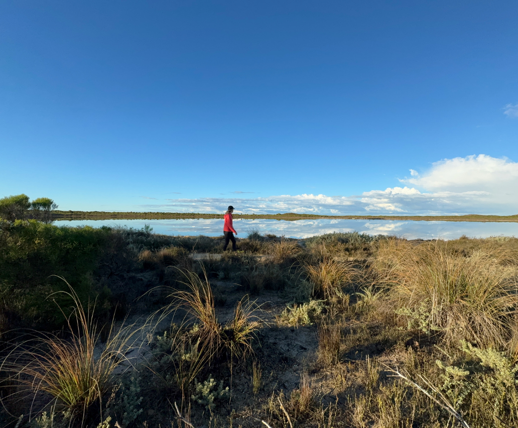 Lake Thetis Loop Trail, Cervantes - Trails WA