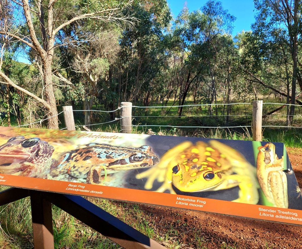 Wetland Walk Trail, Hamel - Trails WA