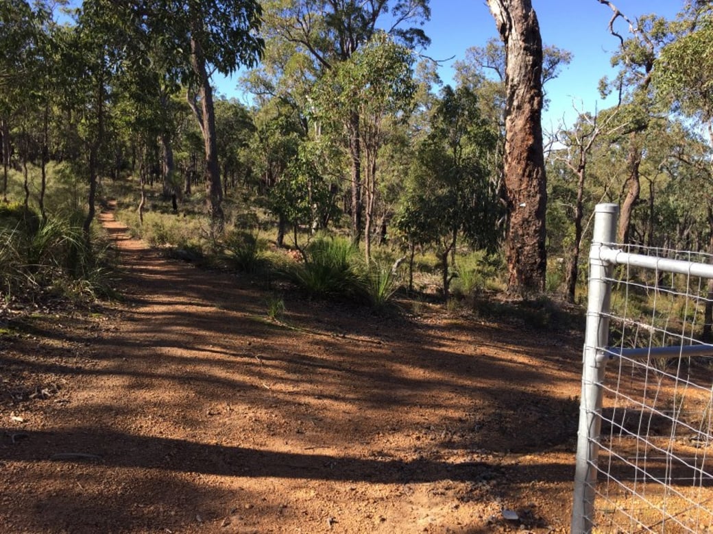 Hill Street Walk, Gooseberry Hill - Trails WA - Trails WA
