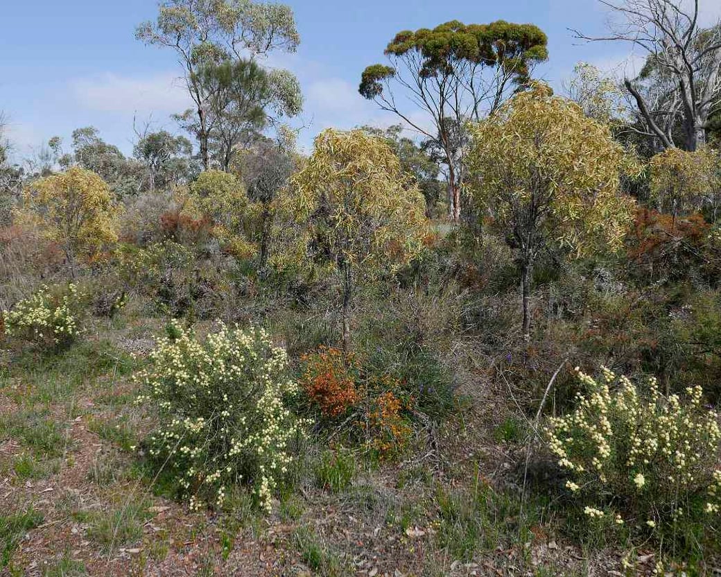 Highbury Walk Trail - Trails WA