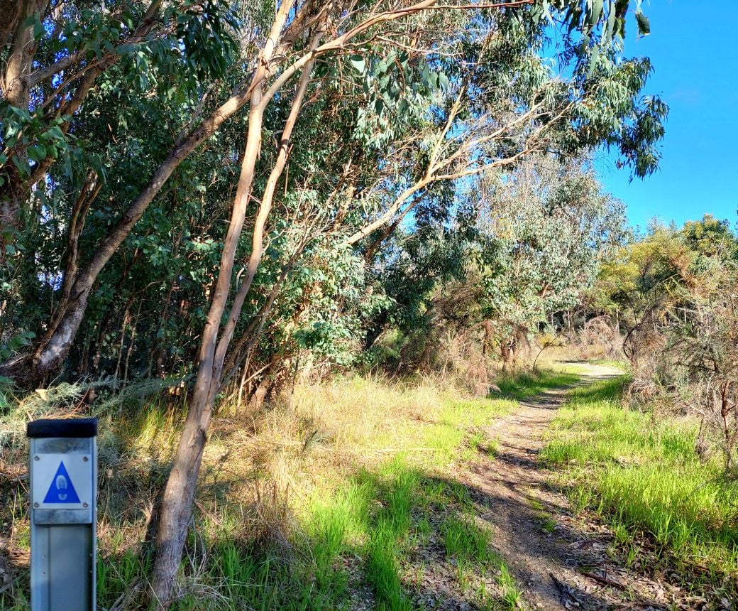 Wetland Walk Trail, Hamel - Trails WA