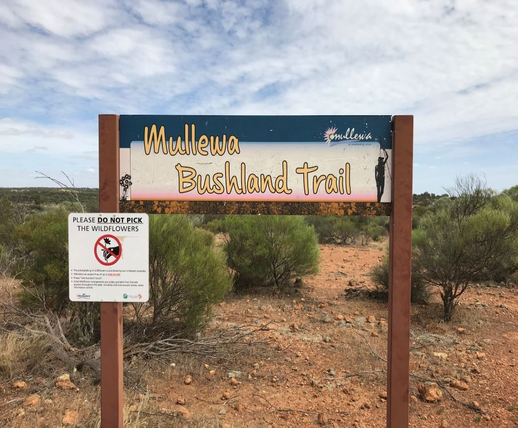 Mullewa Bushland Trail - Trails WA - Trails WA