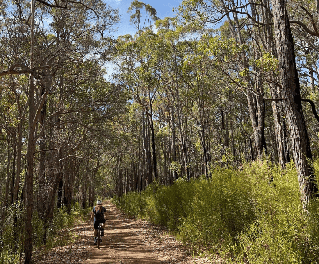 Wadandi Track, Margaret River - Trails WA