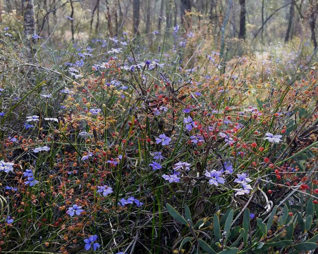 Highbury Walk Trail - Trails WA