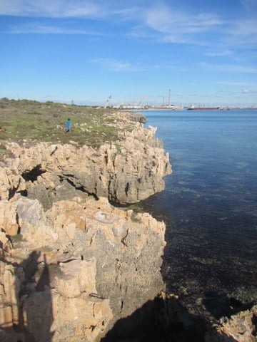 Henderson Cliffs Walk Trail,Perth Coast and Plain,Beeliar - Trails WA