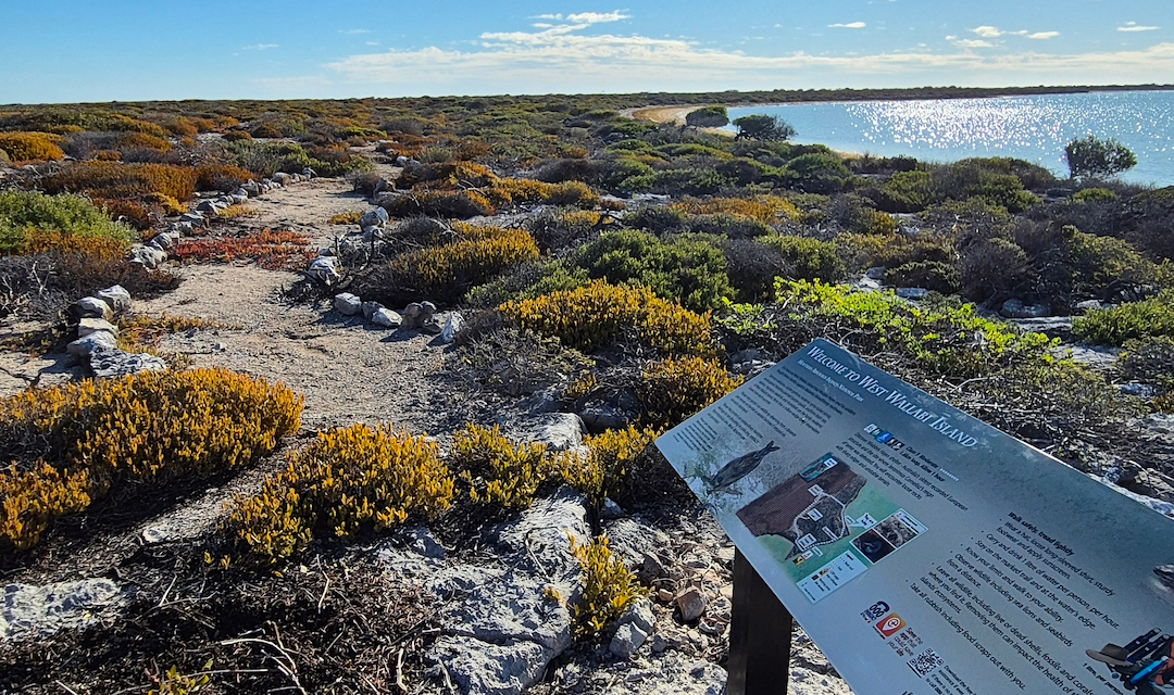 West Wallabi Island Trail, Houtman Abrolhos Islands NP - Trails WA