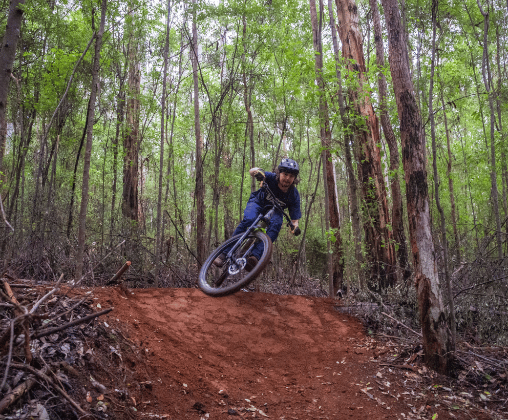 Drop Bear, Pemberton Mtb Park - Trails WA