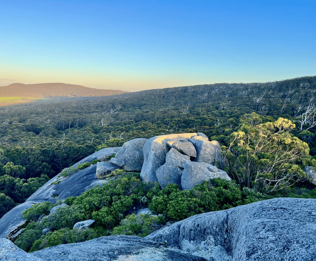 Monkey Rock Trail, Denmark - Trails WA