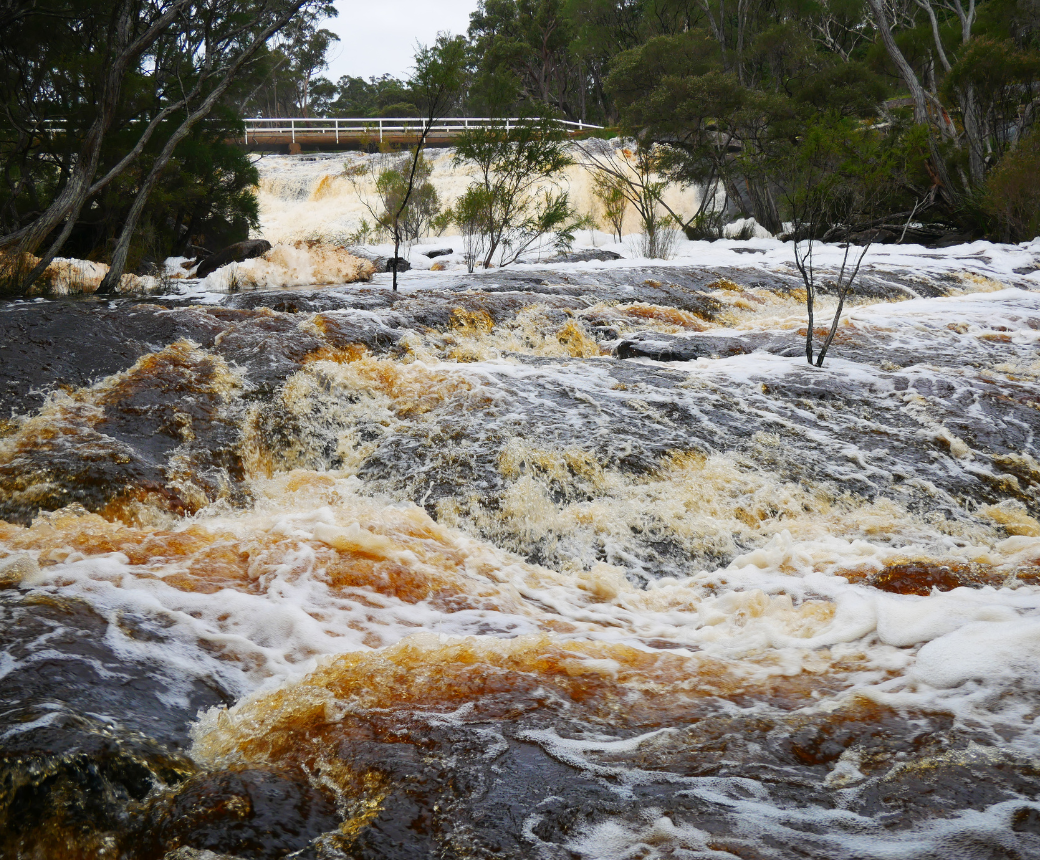 Fernhook Falls Trail, Mt Frankland South National Park - Trails WA