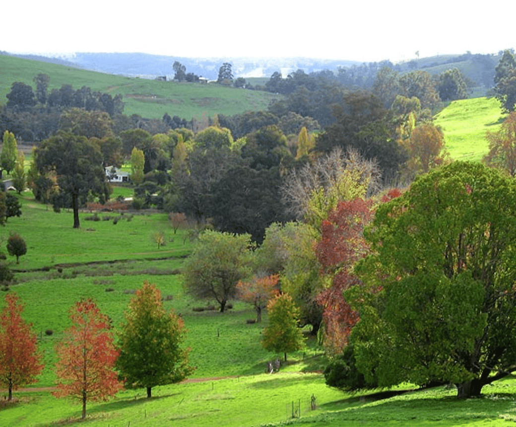 Pear Walk, Balingup - Trails WA - Trails WA