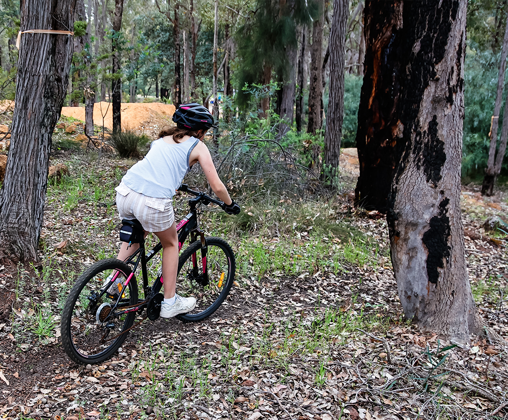 Baby Animals, Collie Wagyl Biddi - Trails WA - Trails WA
