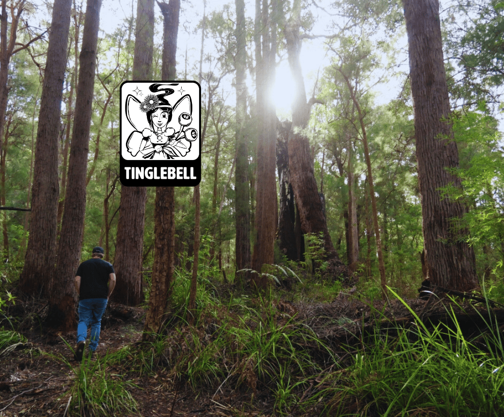 Tinglebell, Giants Trails - Trails WA