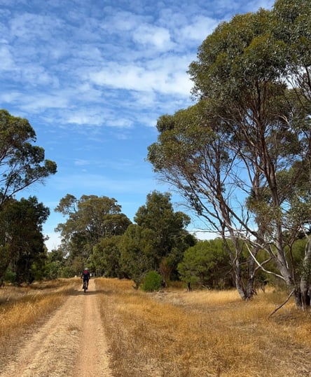 Wadandi Track, Margaret River - Trails WA