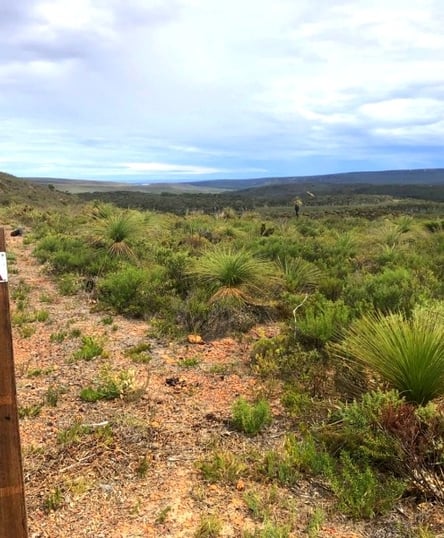 Yonga Trail, Lesueur National Park - Trails WA