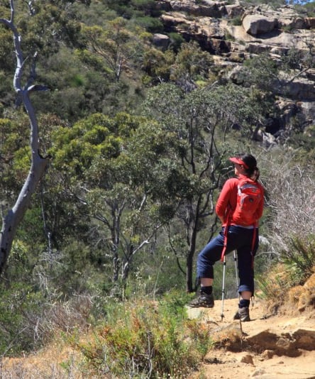 Sixty Foot Falls, Ellis Brook Valley, Gosnells - Trails WA - Trails WA