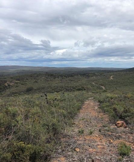 Yonga Trail, Lesueur National Park - Trails WA