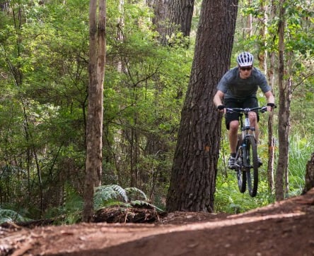 Big Pine, The Pines, Margaret River - Trails WA - Trails WA