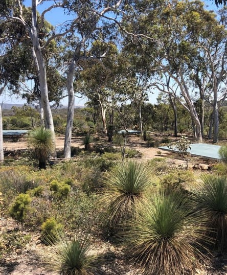 Yonga Trail, Lesueur National Park - Trails WA